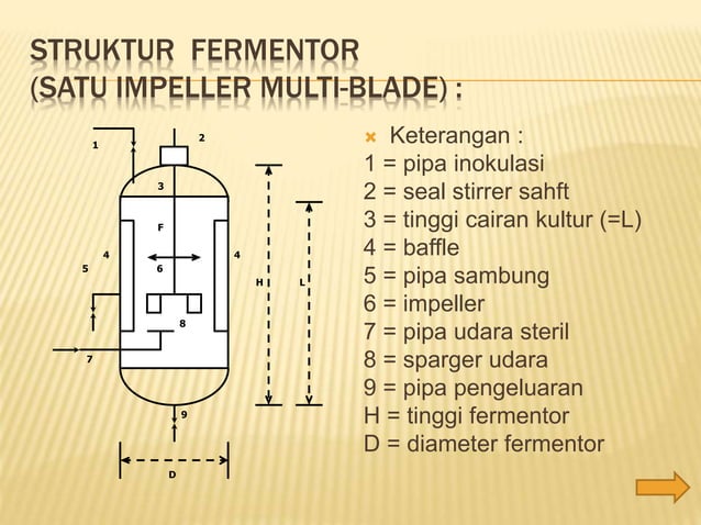 Bioreaktor | PPT