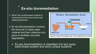 bioremediation en anglais biotechnologies | PPTX