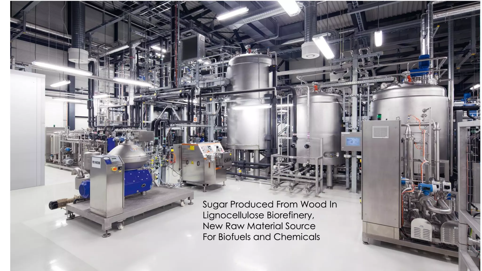 Biorefinery - technology sources | PDF