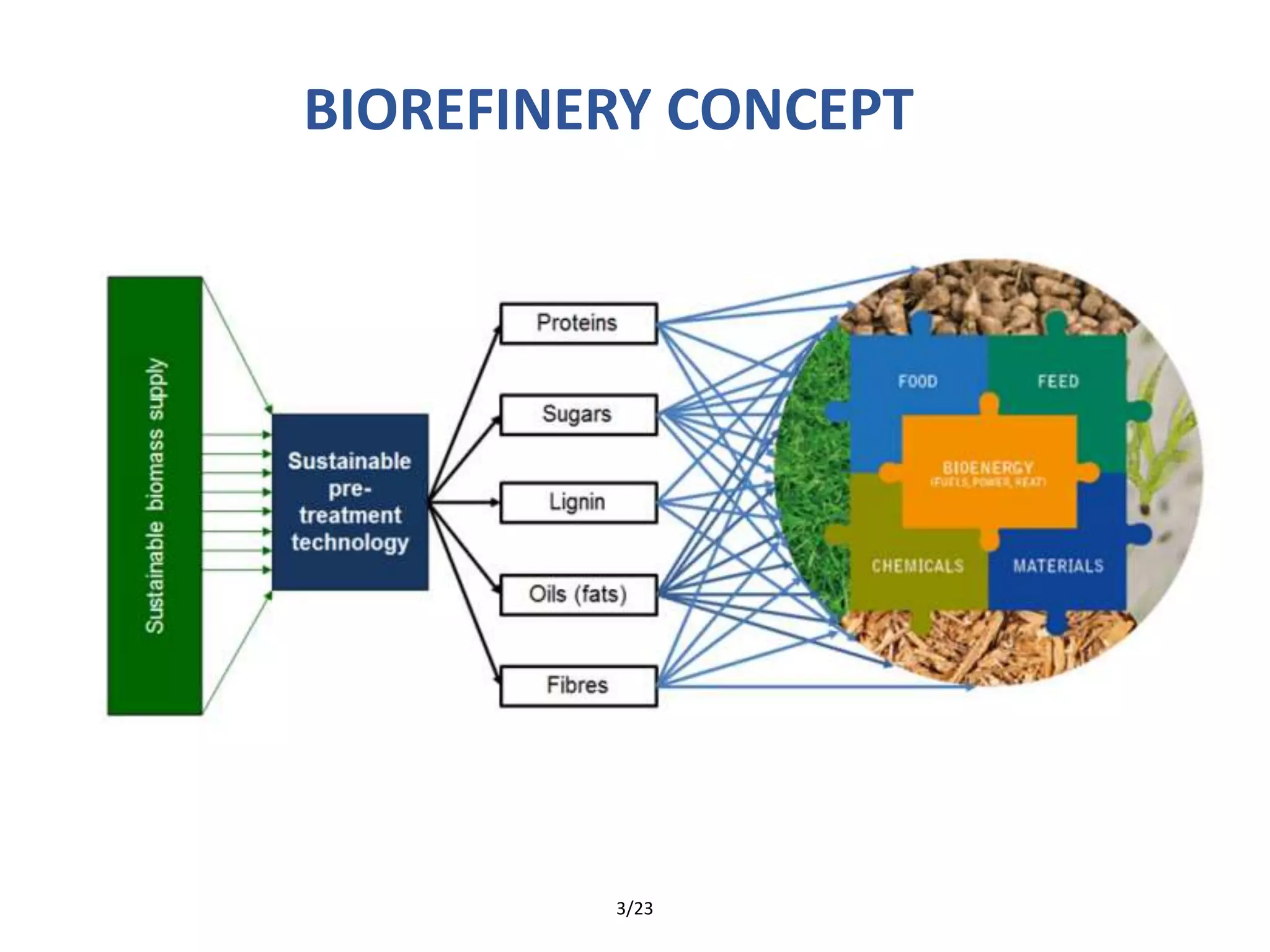 Biorefinery | PPTX