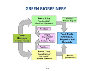 Biorefinery | PPTX