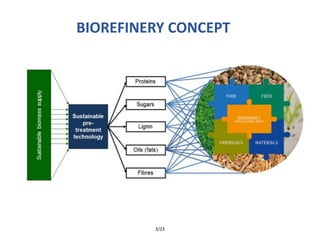 Biorefinery | PPTX