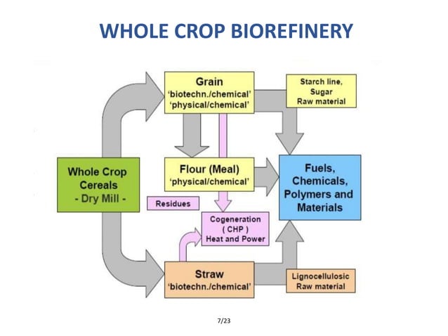 Biorefinery | PPTX | Agriculture | Industries