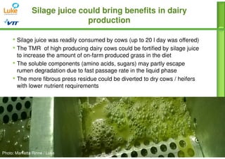 Grass silage for biorefinery - Palatability of silage juice for growing ...