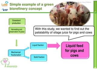 Grass silage for biorefinery - Palatability of silage juice for growing ...