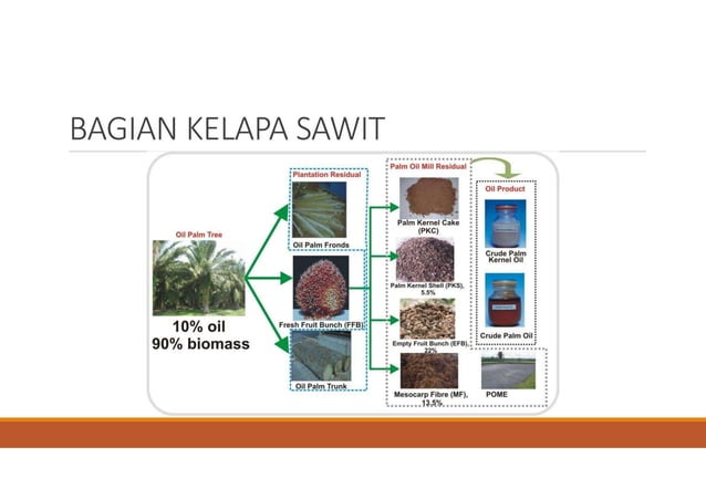 biorefinery kelapa sawit.pdf