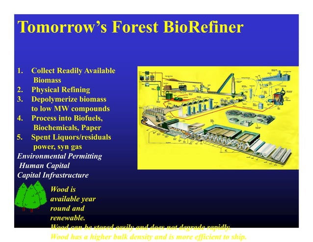 BioRefinery Presentation Lignocellulose.pptx