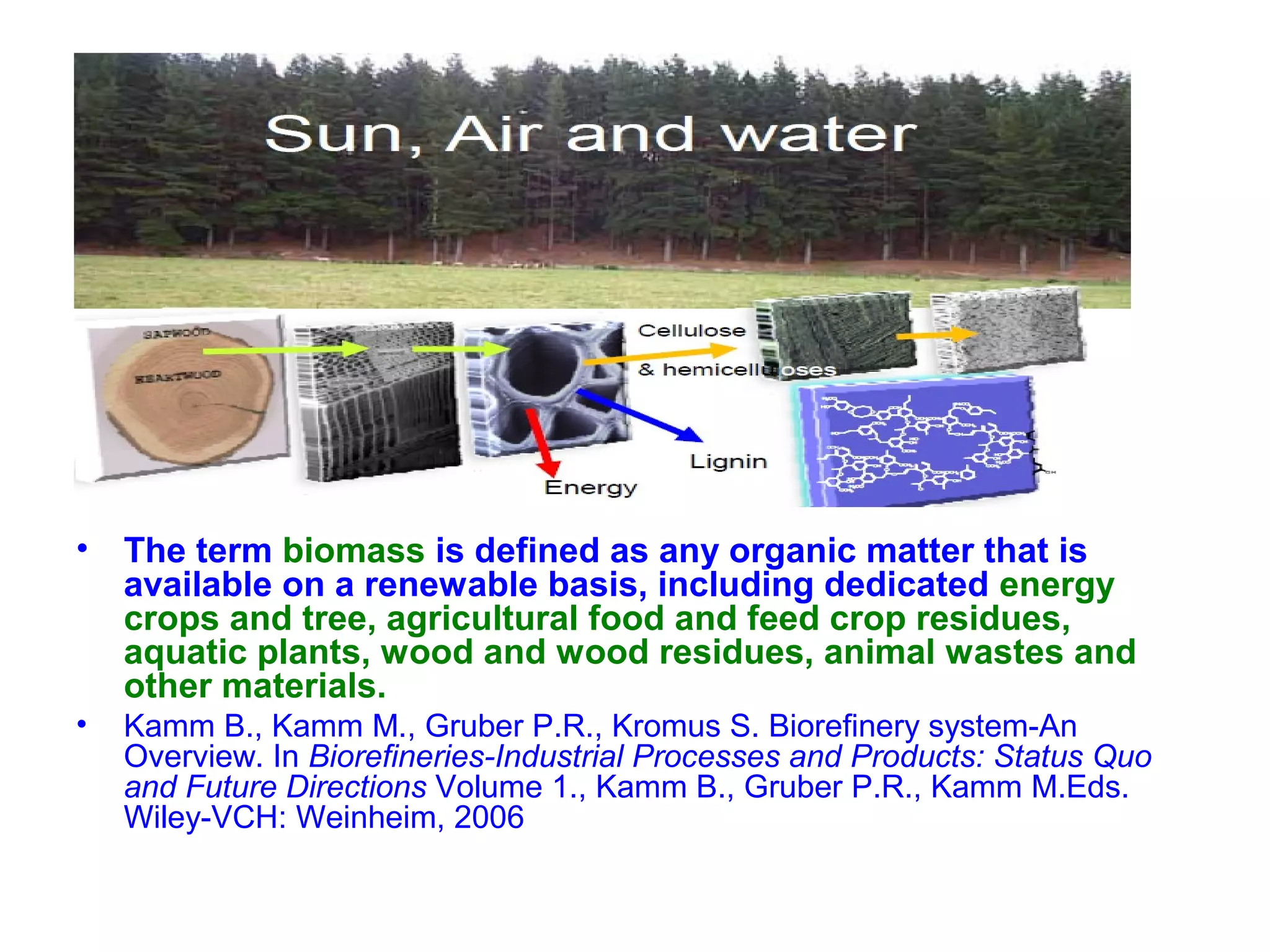 Biorefining and pulp and paper industry | PPT