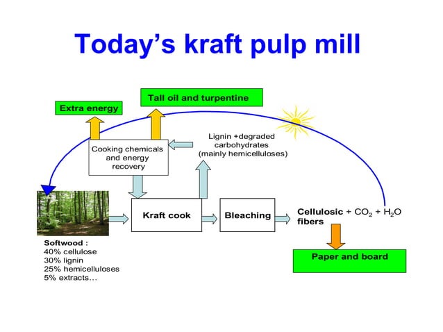Biorefining and pulp and paper industry | PPT