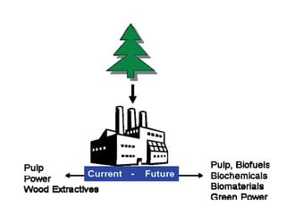 Biorefining and pulp and paper industry | PPT