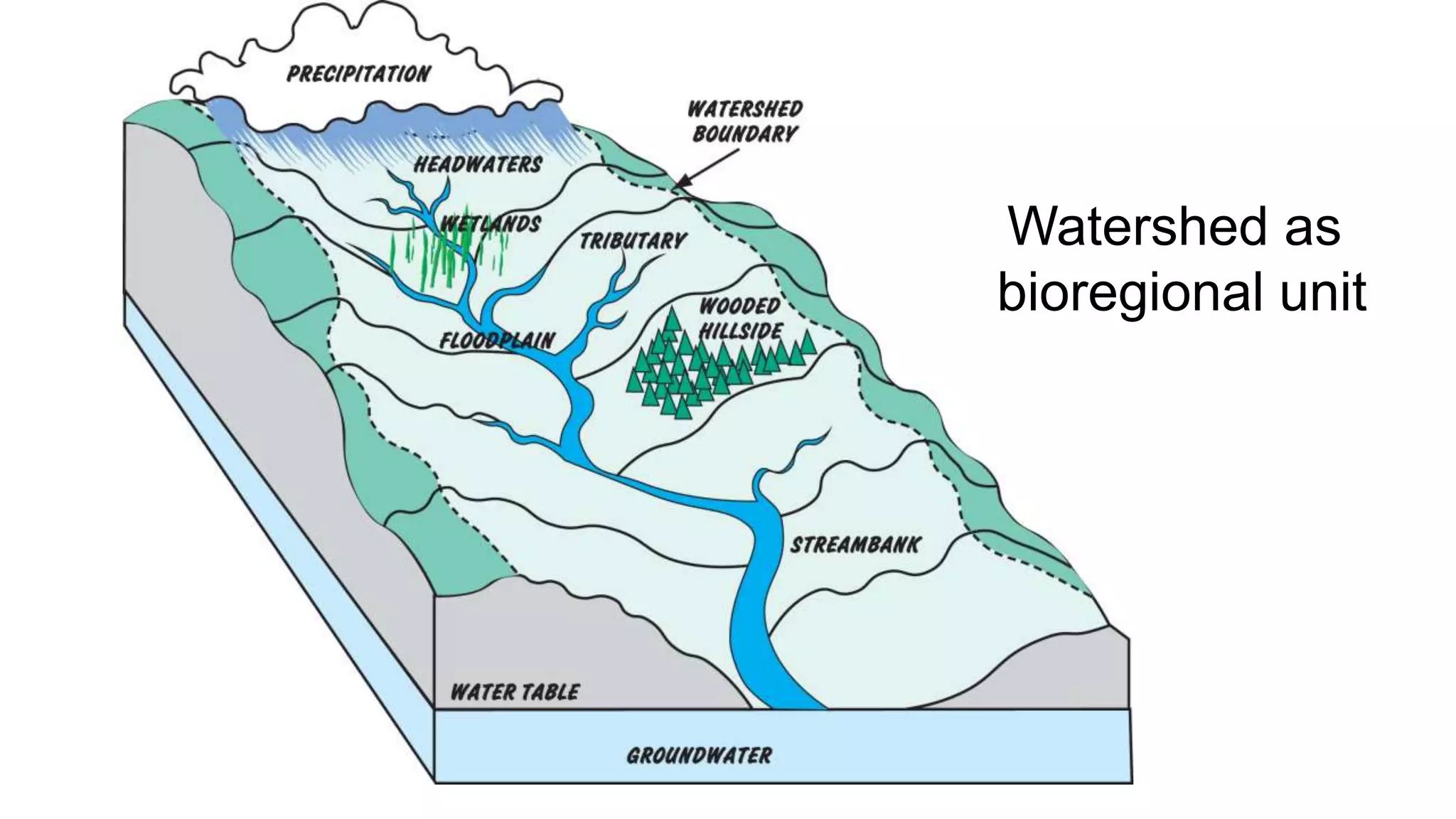 Bioregionalism in these islands | PPTX