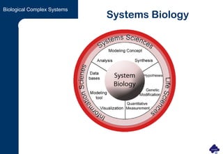 Bioregulatory Medicine - a New medical paradigm | PPT | Diseases and Conditions | Medical Health