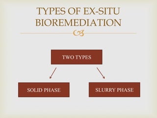 Bioremadiation-.pdf types of Bioremediation process | PDF