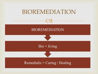 Bioremadiation-.pdf types of Bioremediation process | PDF | Gardening ...
