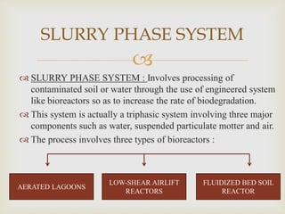 Bioremadiation-.pdf types of Bioremediation process | PDF