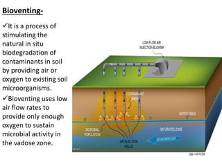 Bioremediaion | PPT