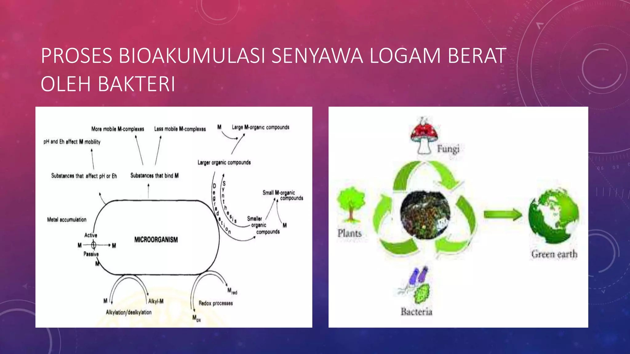 Bioremediasi.pptx