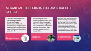 Bioremediasi.pptx