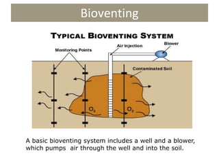 Bioremediasi_2017.ppt