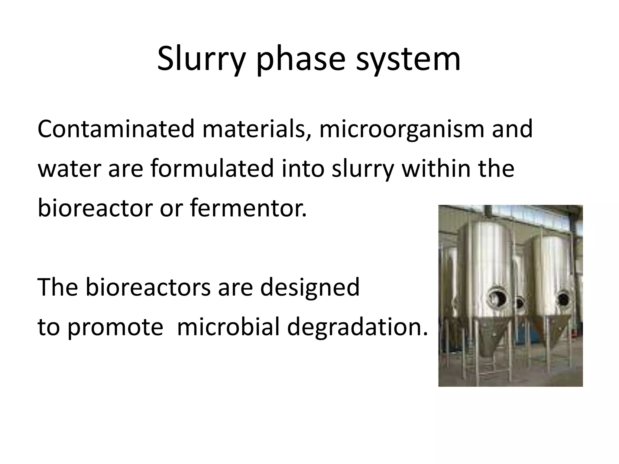 Bioremediation | PPTX