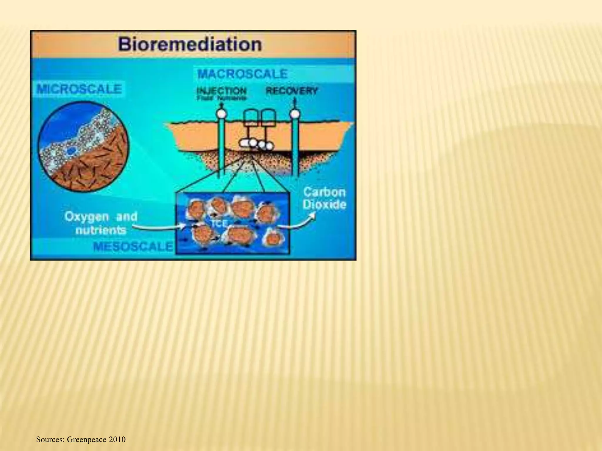 Bioremediation & Waste Management | PPTX