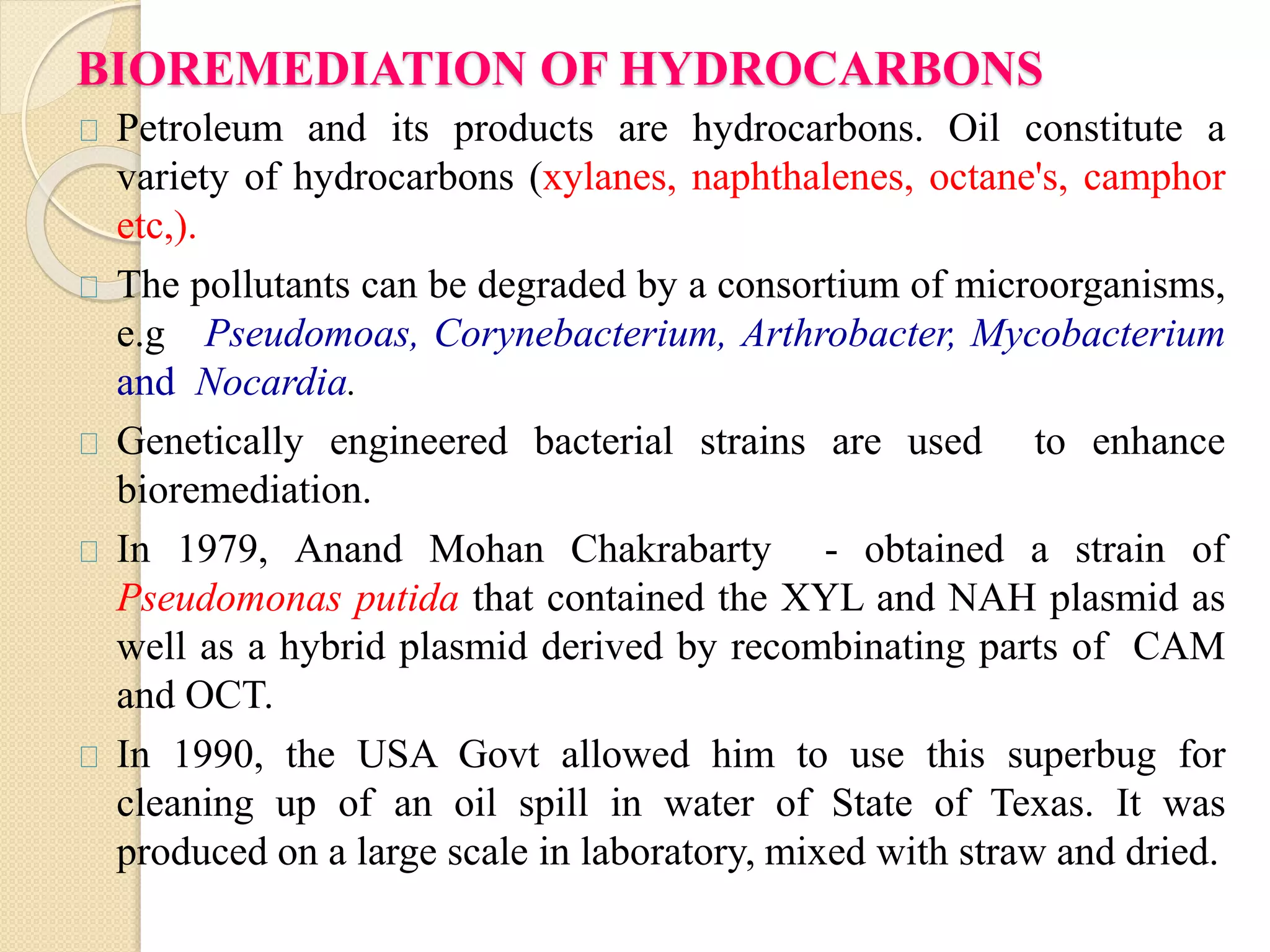 Bioremediation | PPTX