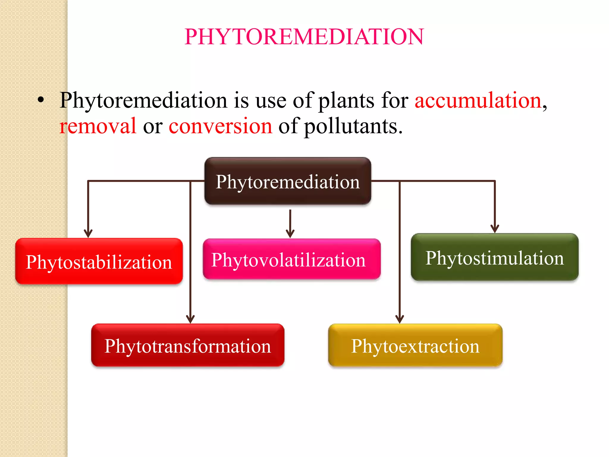 Bioremediation | PPTX