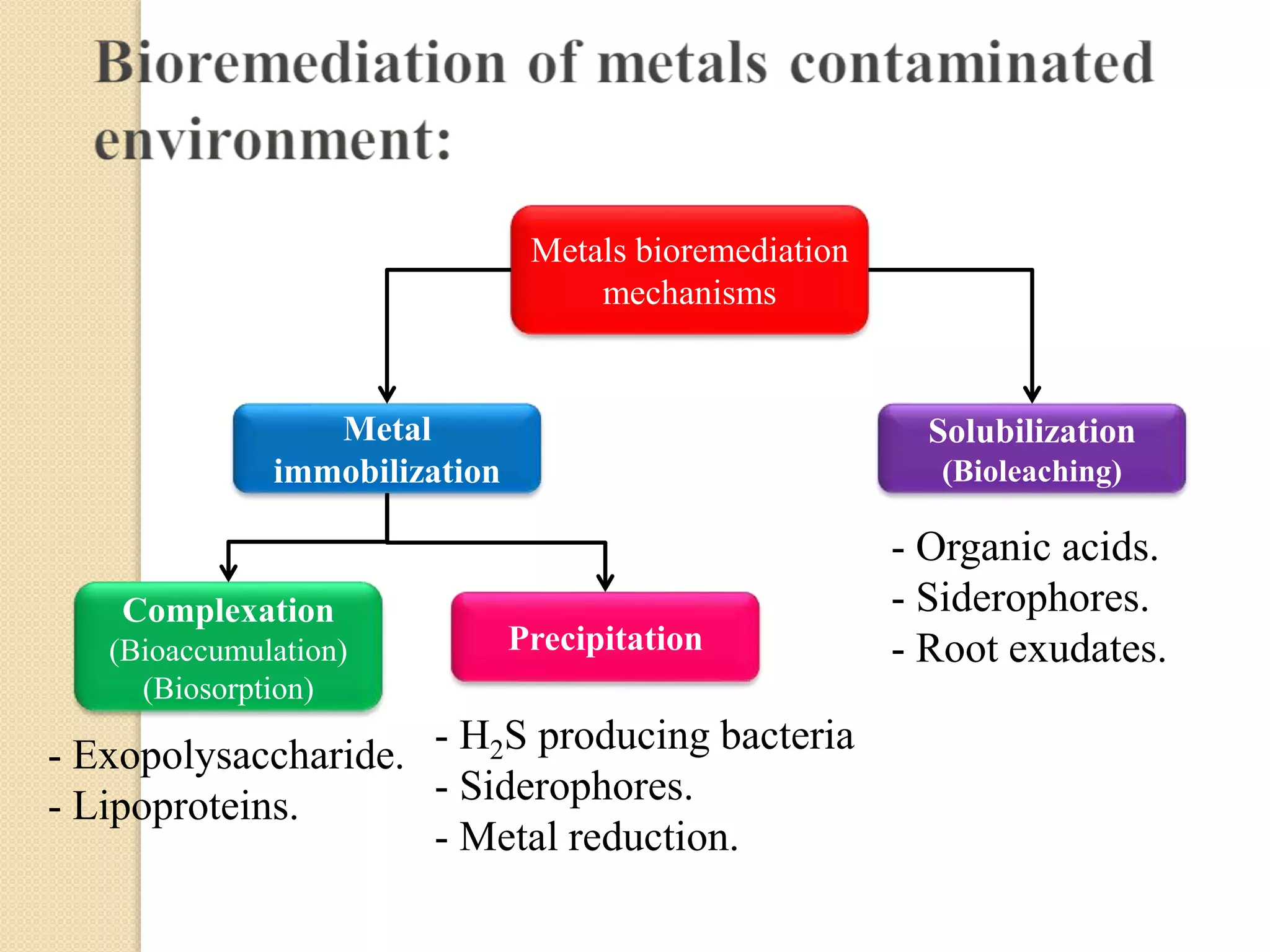 Bioremediation | PPTX