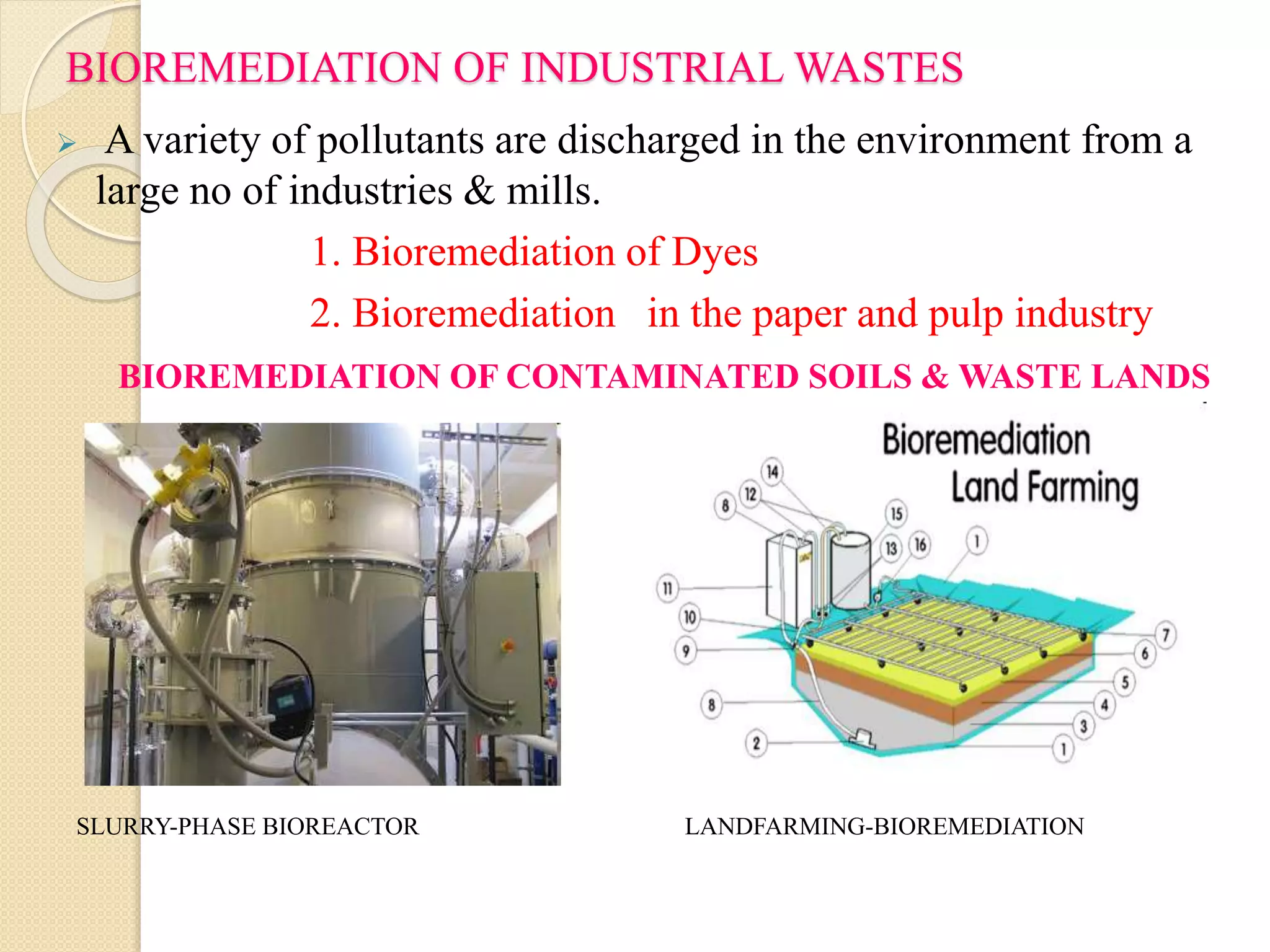 Bioremediation | PPTX