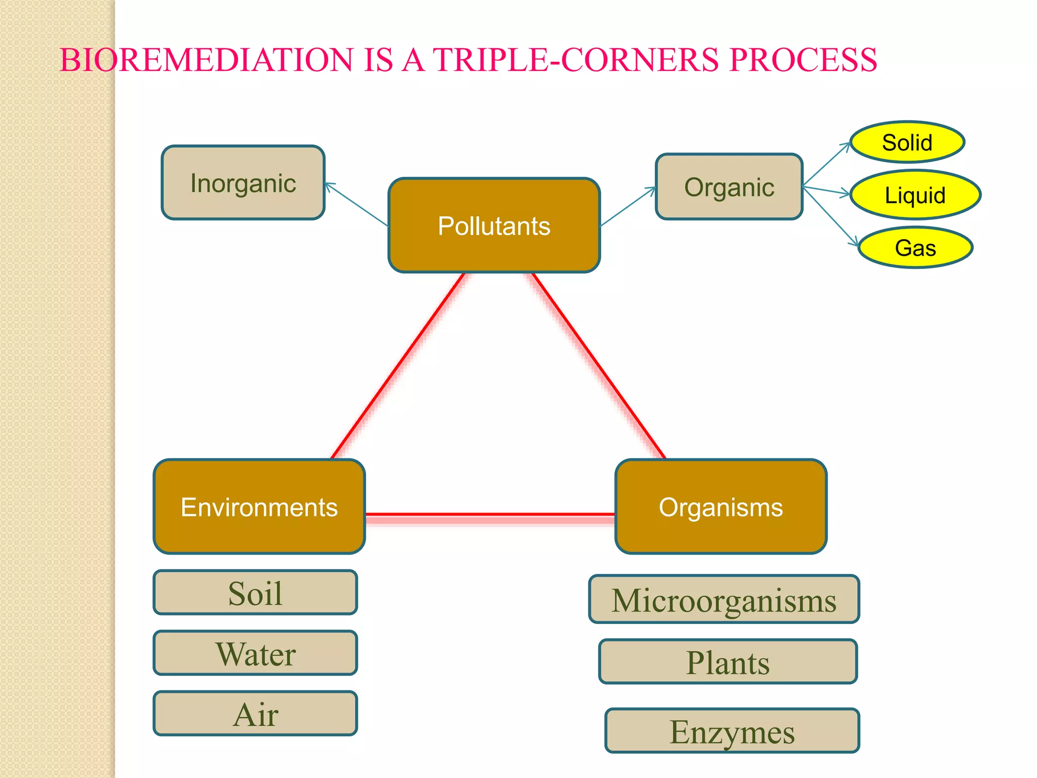 Bioremediation | PPTX
