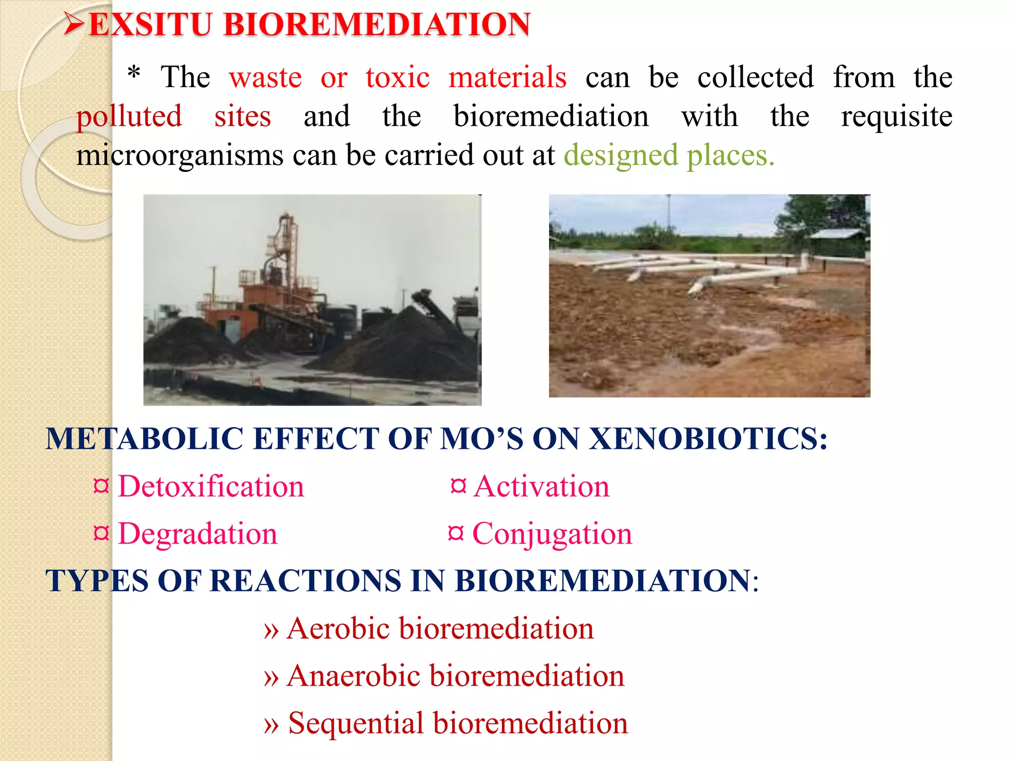 Bioremediation | PPTX