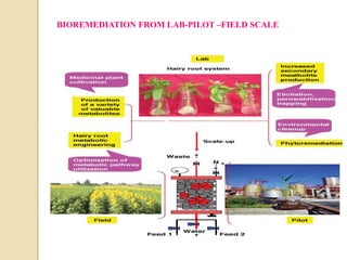 Bioremediation | PPTX