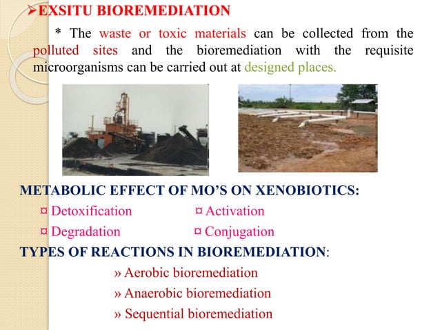 Bioremediation | PPTX