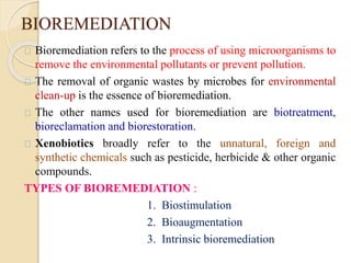 Bioremediation Examples