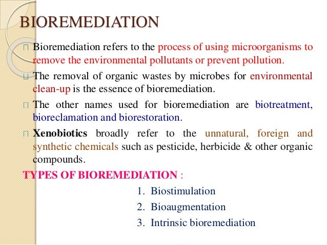 Bioremediation
