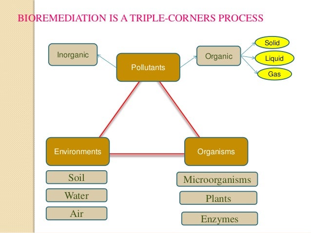 Bioremediation