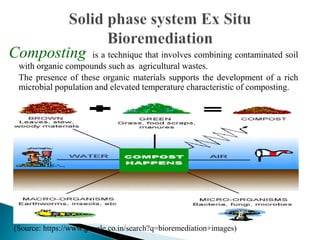 Bioremediation | PPT