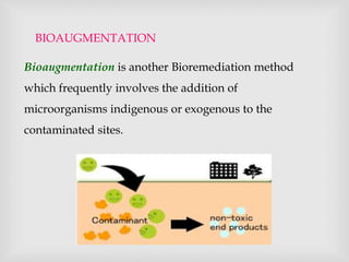 Bioremediation | PPT