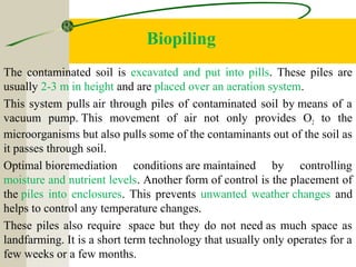 Bioremediation | PPT