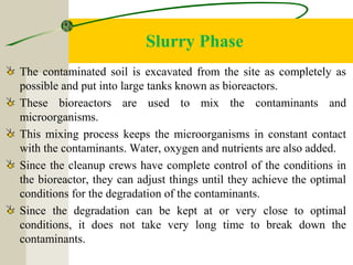 Bioremediation | PPT