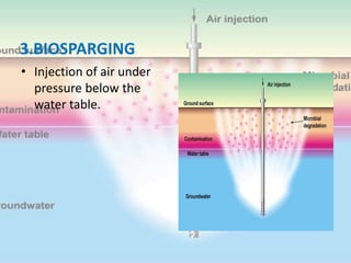 Bioremediation....p.k (1)11 | PPT
