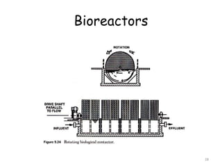 Bioremediation | PDF
