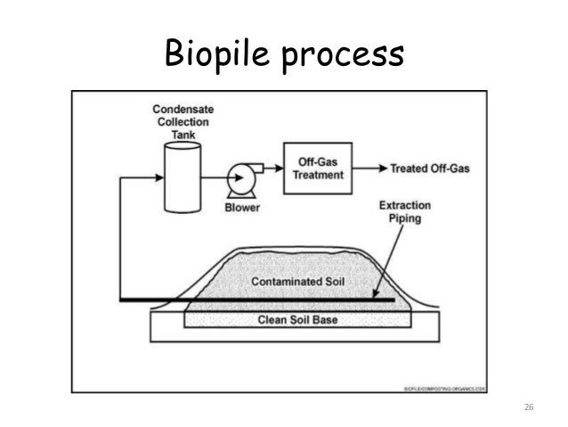 Bioremediation