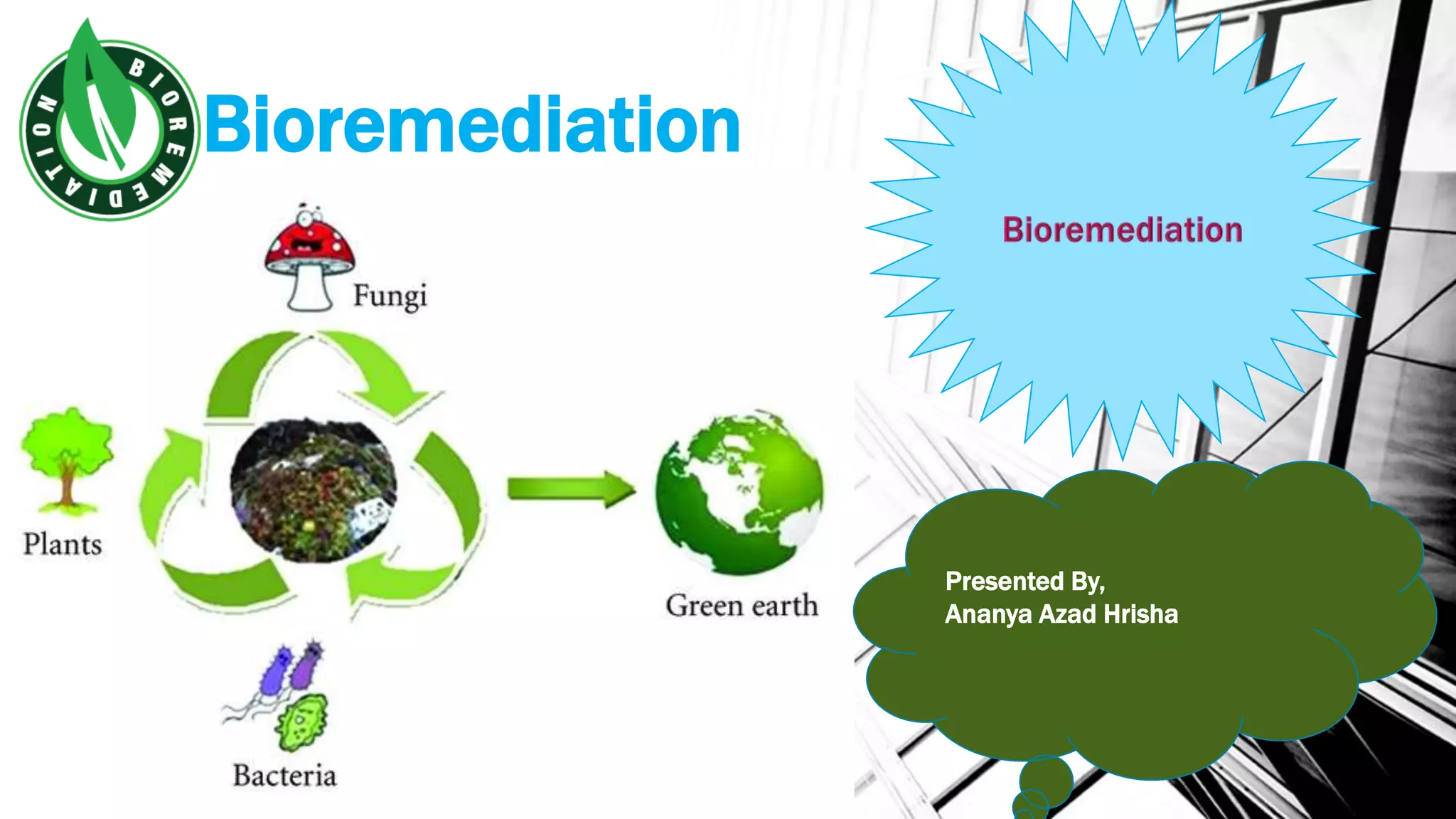 Bioremediation | PPTX