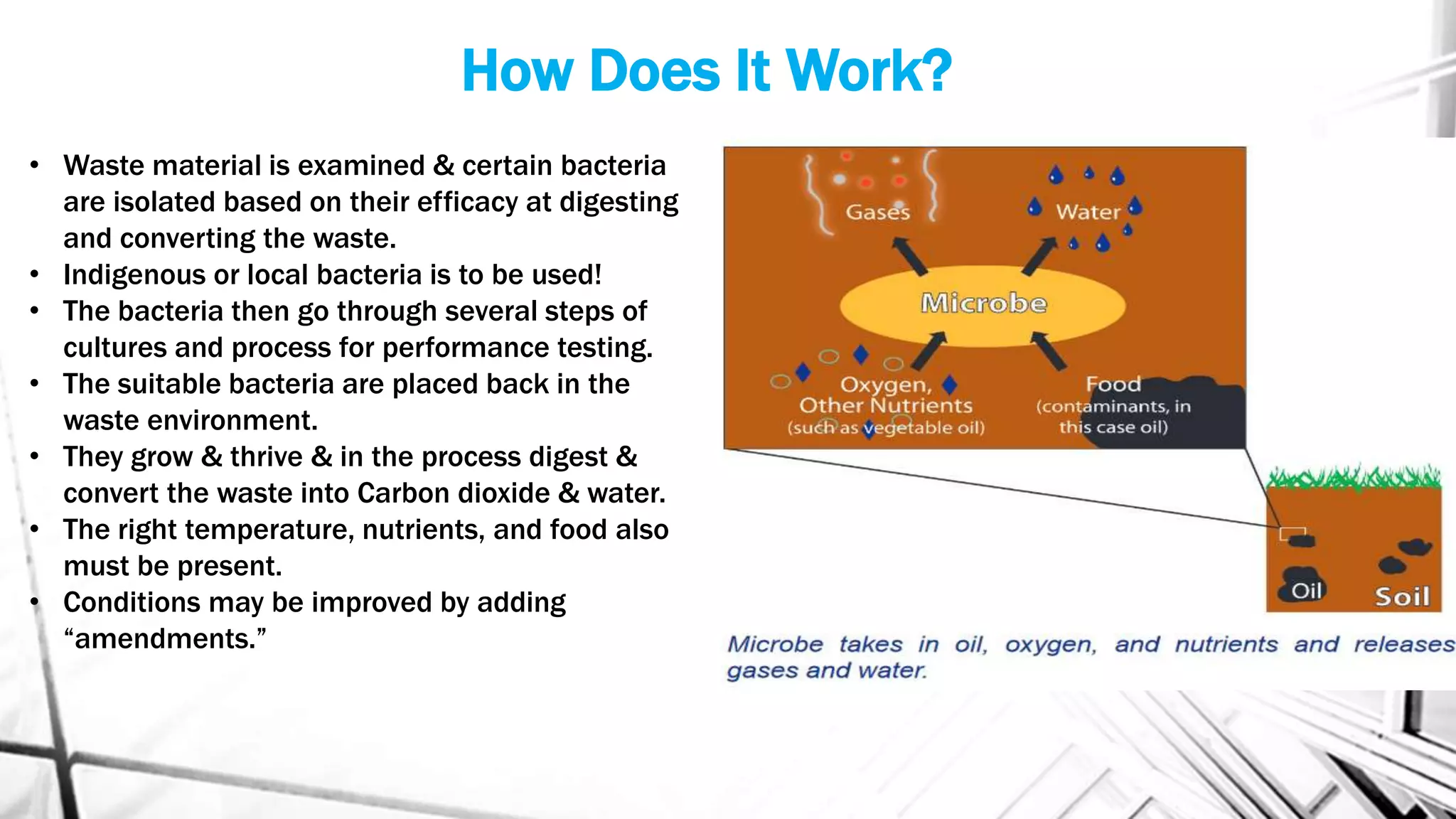 Bioremediation | PPTX