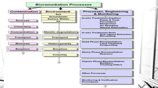 Bioremediation | PPTX