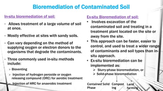 Bioremediation | PPTX