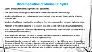 Bioremediation | PPTX