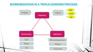 Bioremediation | PPTX