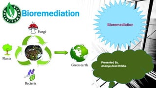 Bioremediation Bacteria